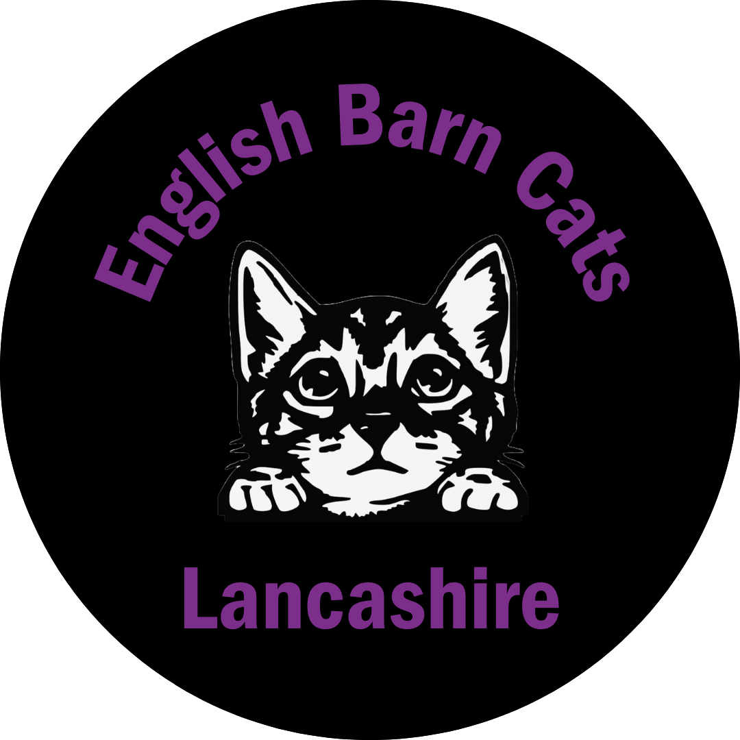 English Barn Cats Rescue