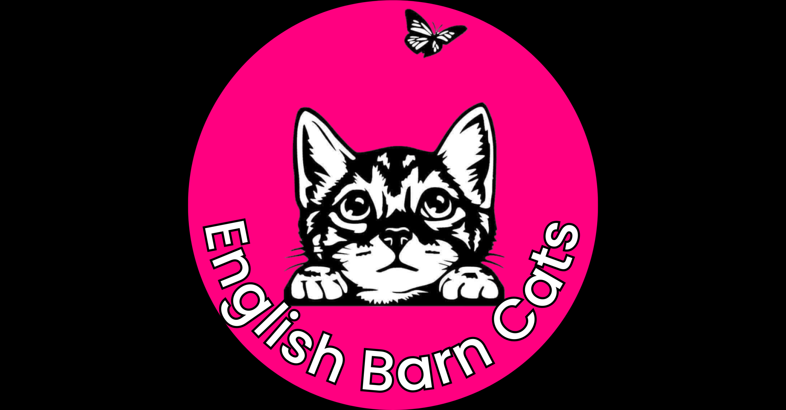 English Barn Cats | Stray & Feral Cat Rescue